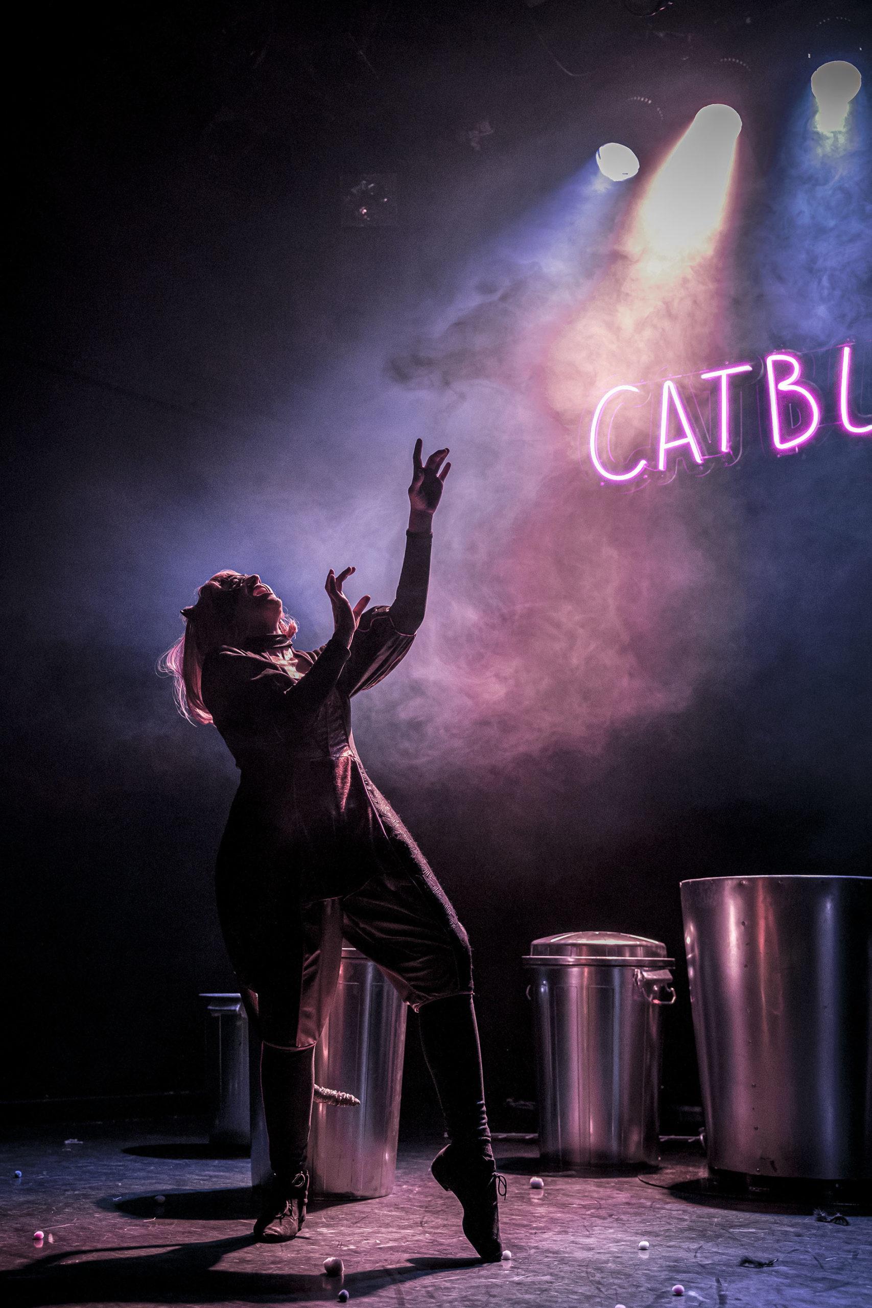 Katia the Cat – Sala Negra